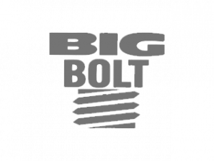 big bolt logo | PCG